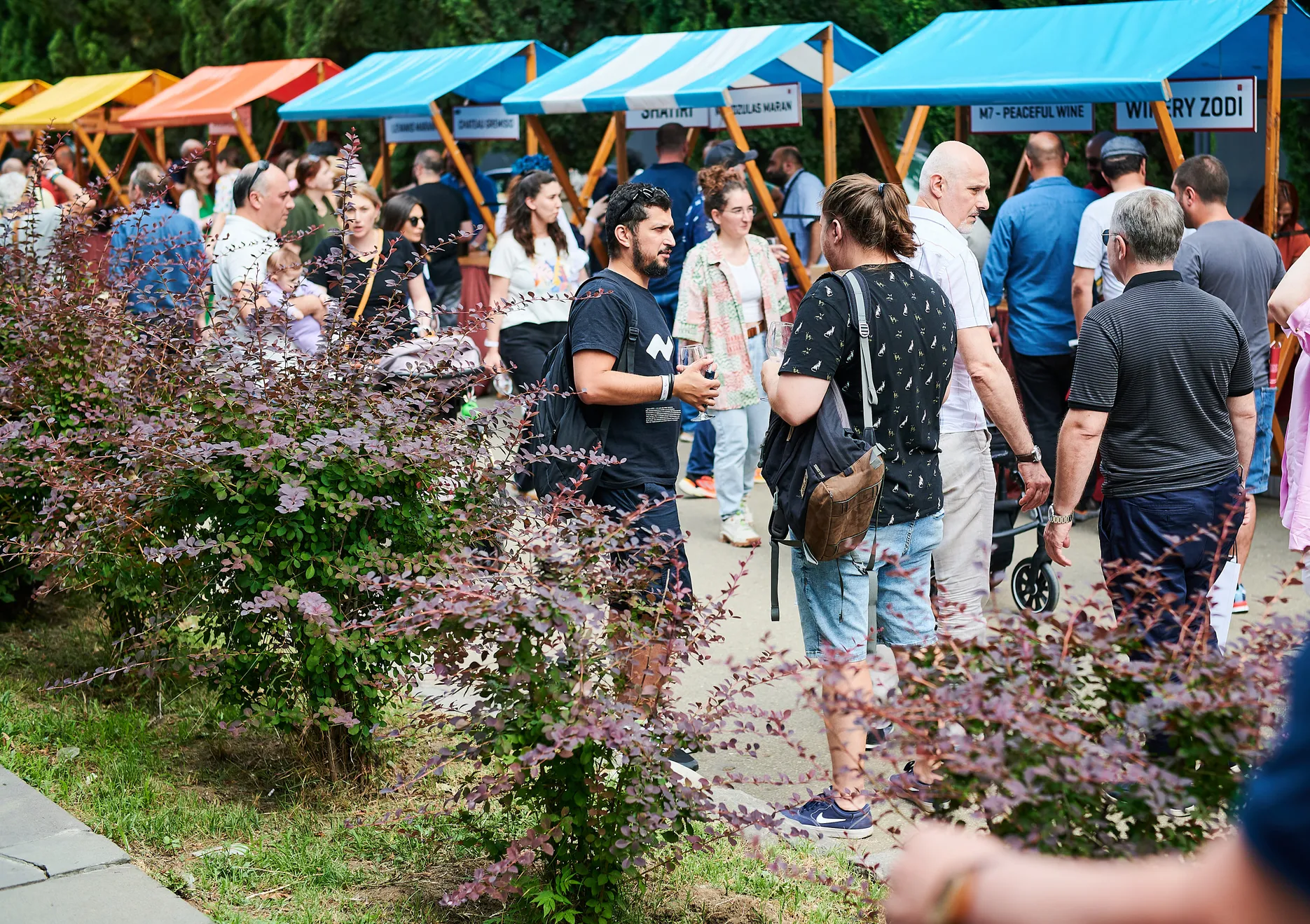 ექსპოჯორჯია • EXPOGEORGIA